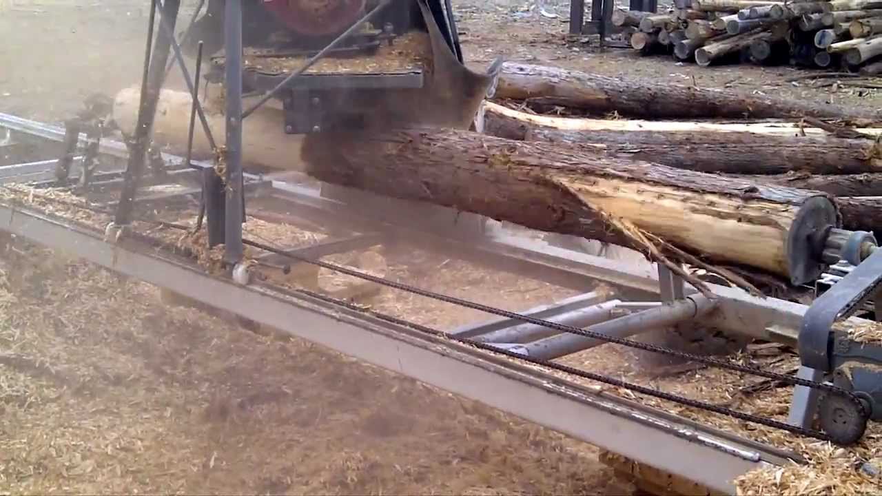 Beaver log turner into Cedar - YouTube