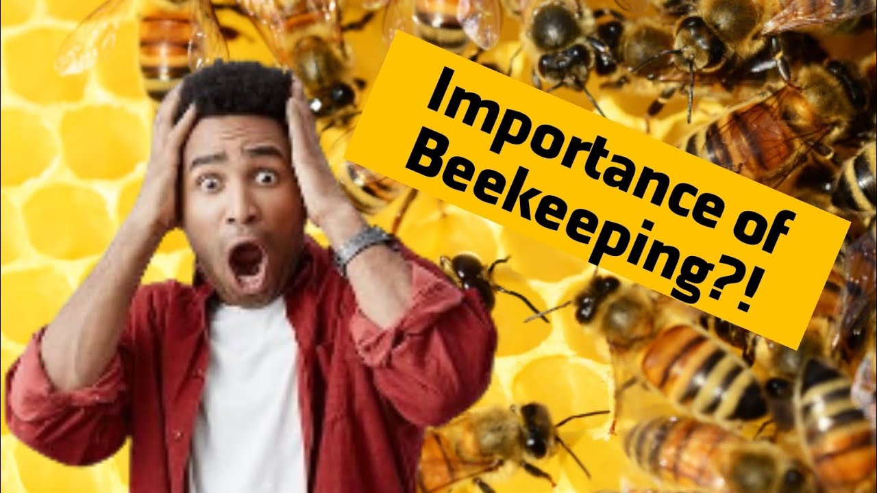 Importance of Beekeeping - YouTube