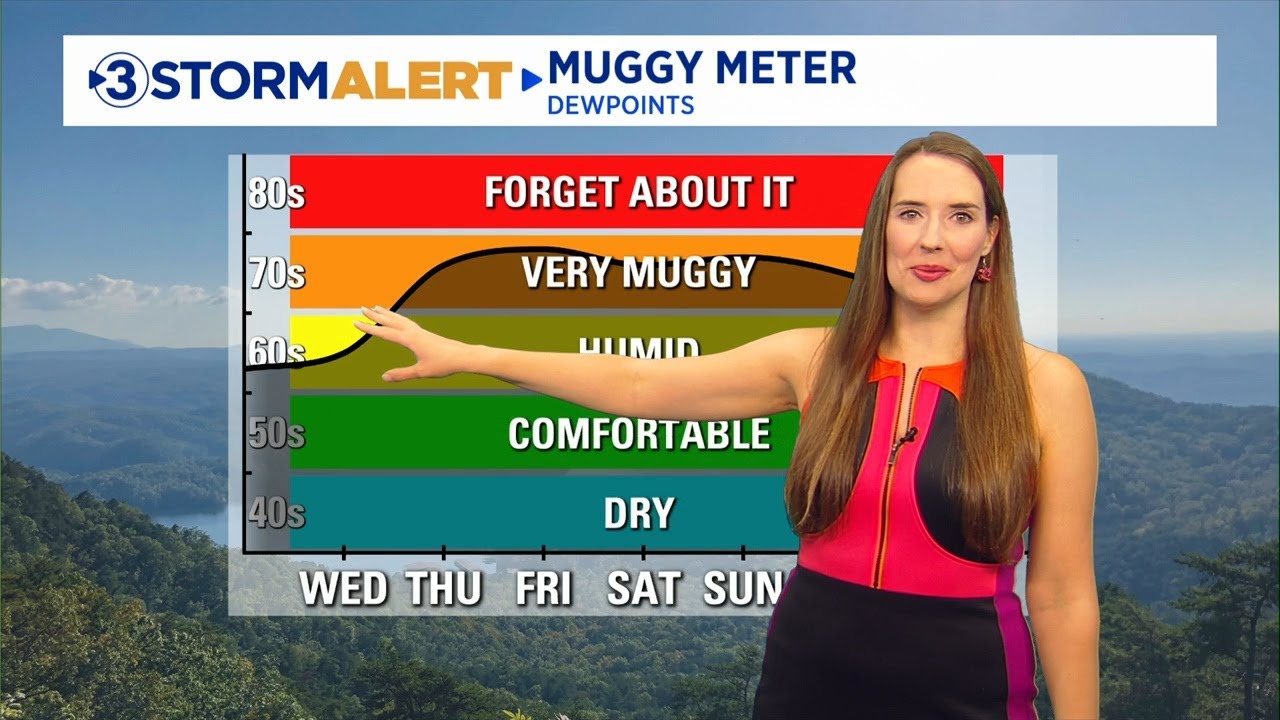 Alison Pryor's Wednesday morning - YouTube