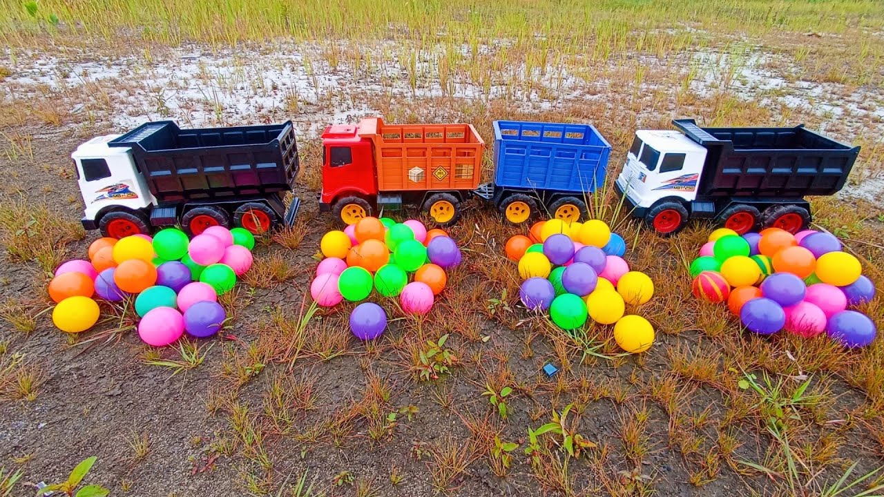 Mobil Truk Tronton Penuh Dengan Bola Warna Warni, Pink, Ungu, Hijau ...