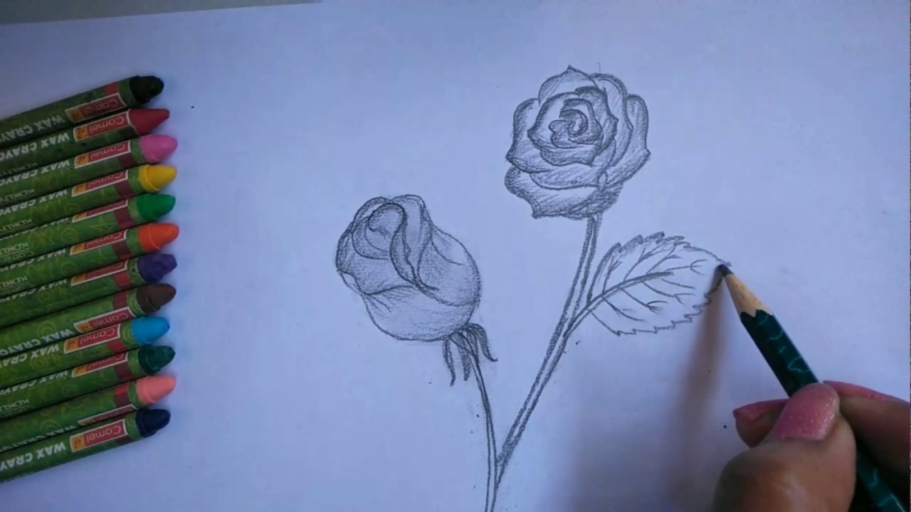 How to draw a rose for beginners - YouTube