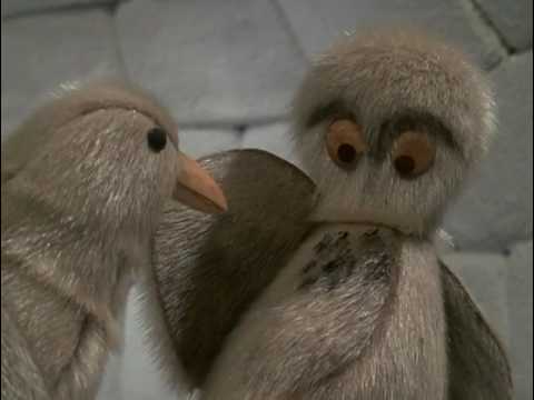 The Owl and the Raven An Inuit Legend - YouTube