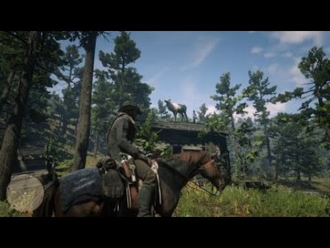 Red Dead Redemption 2 Bro identifies as a rooster - YouTube