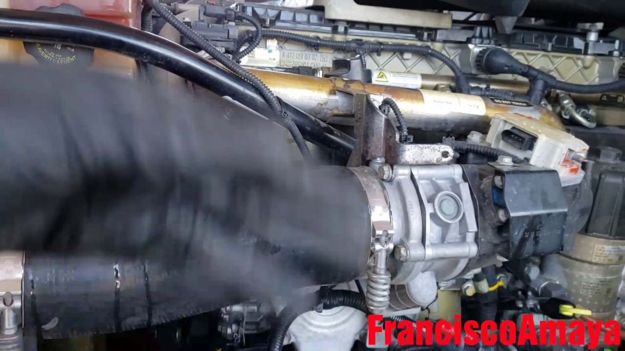 freightliner cascadia DD13 DD15 DD16 cambio de bomba de agua y ...