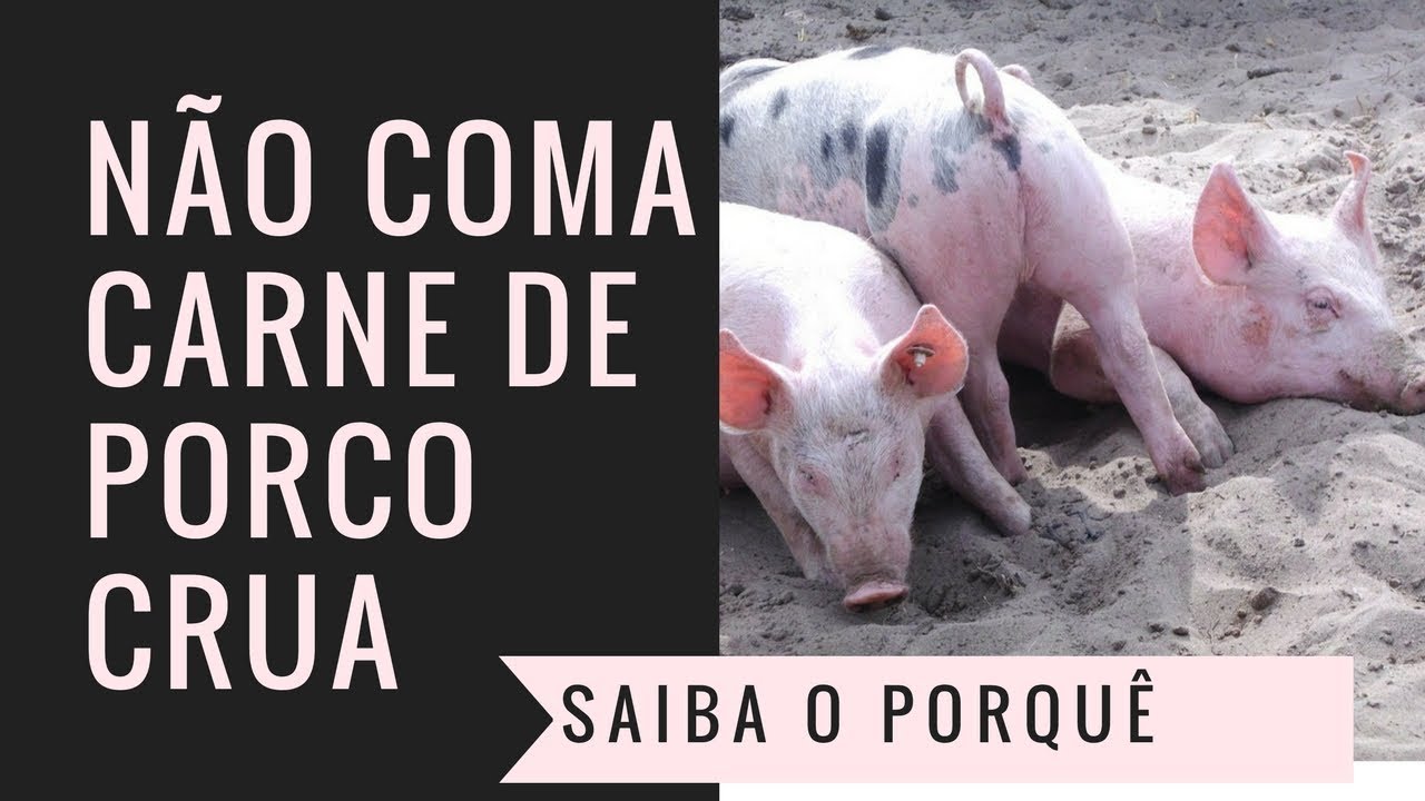 Carne De Porco Mal Passada Faz Mal - LIBRAIN