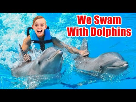 We Swam With Dolphins! Surprise Birthday for Jack and Jazzy!