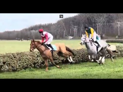 Horse Race - YouTube