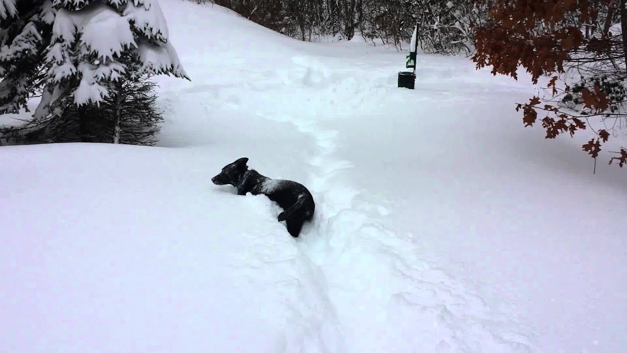 Archer snow - YouTube