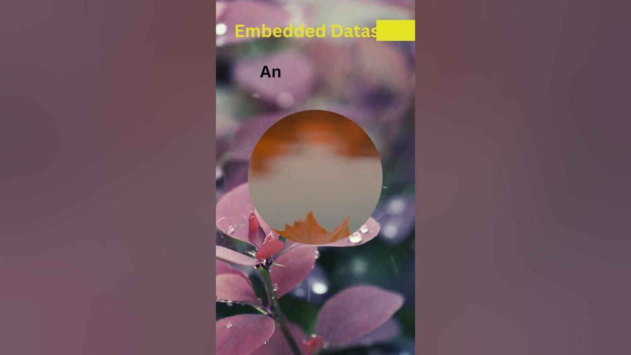 Shared Vs Embedded Dataset SSRS | SSRS for beginners | SSRS Tutorials - YouTube
