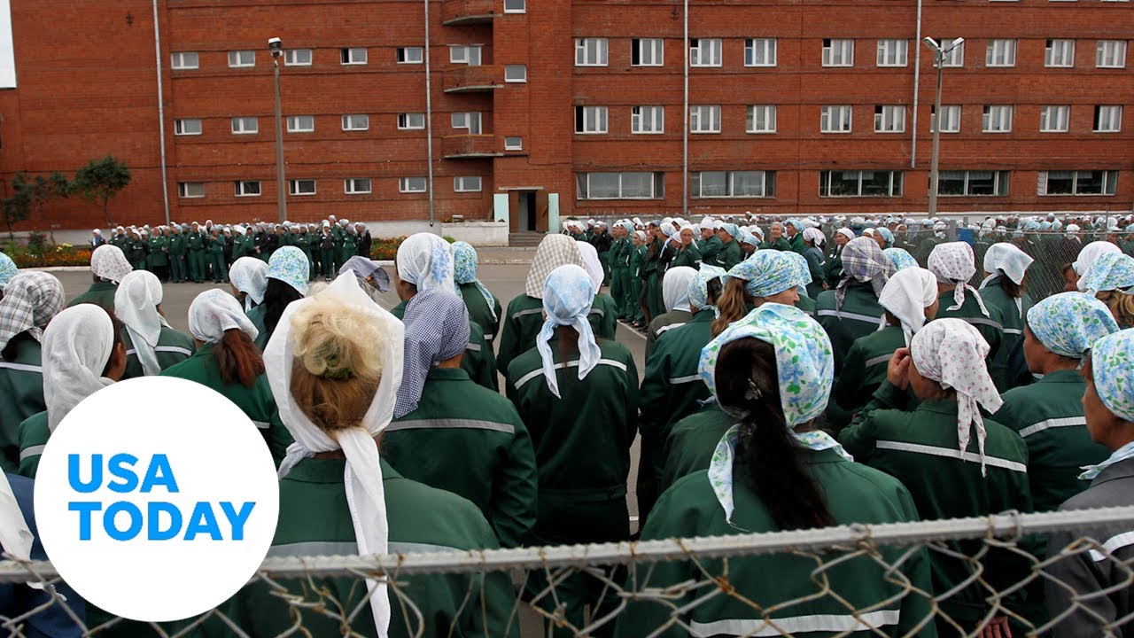 Life inside the Russian penal colony where Brittney Griner is serving ...