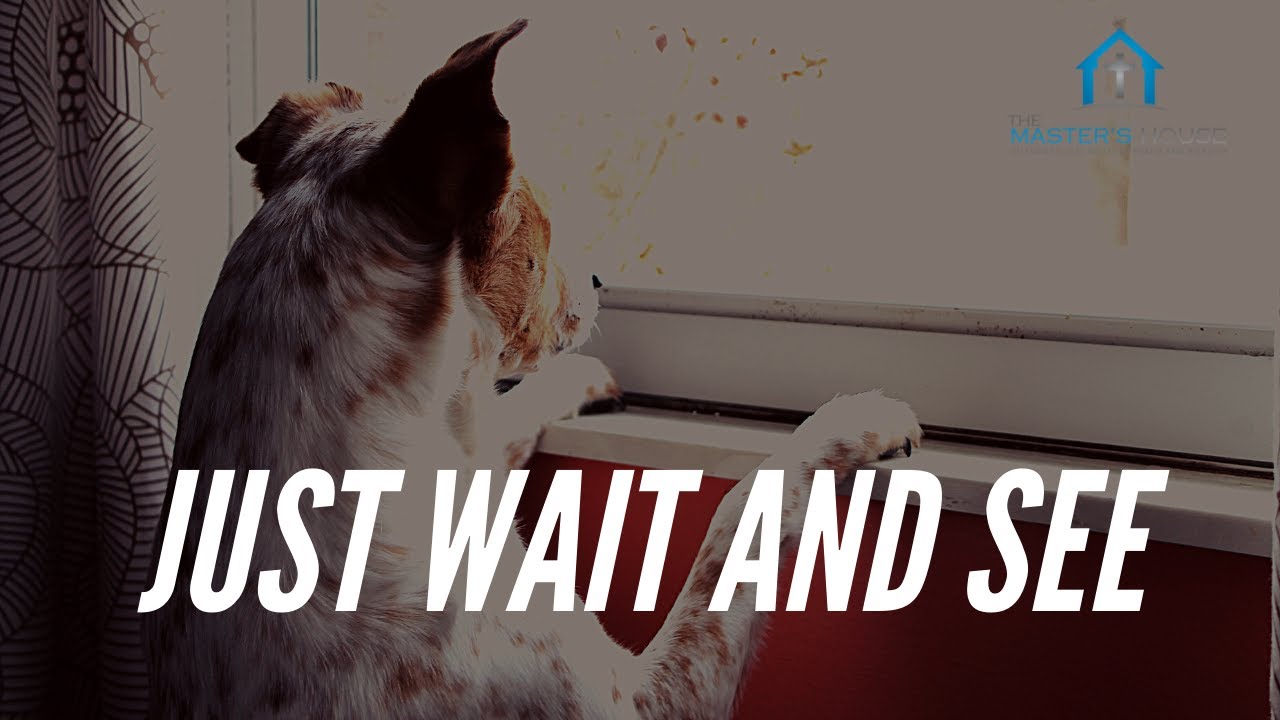 Just Wait And See - YouTube
