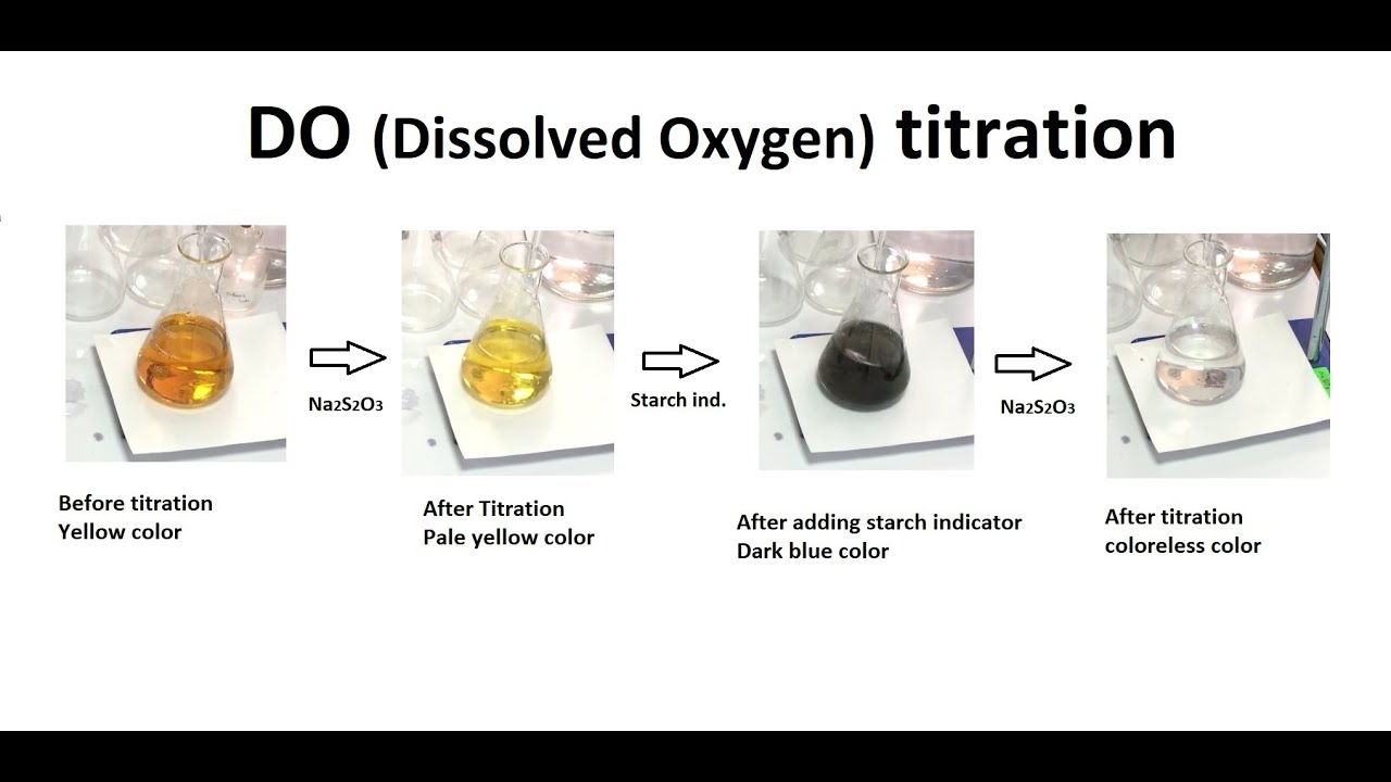 Dissolved Oxygen Experiment - YouTube