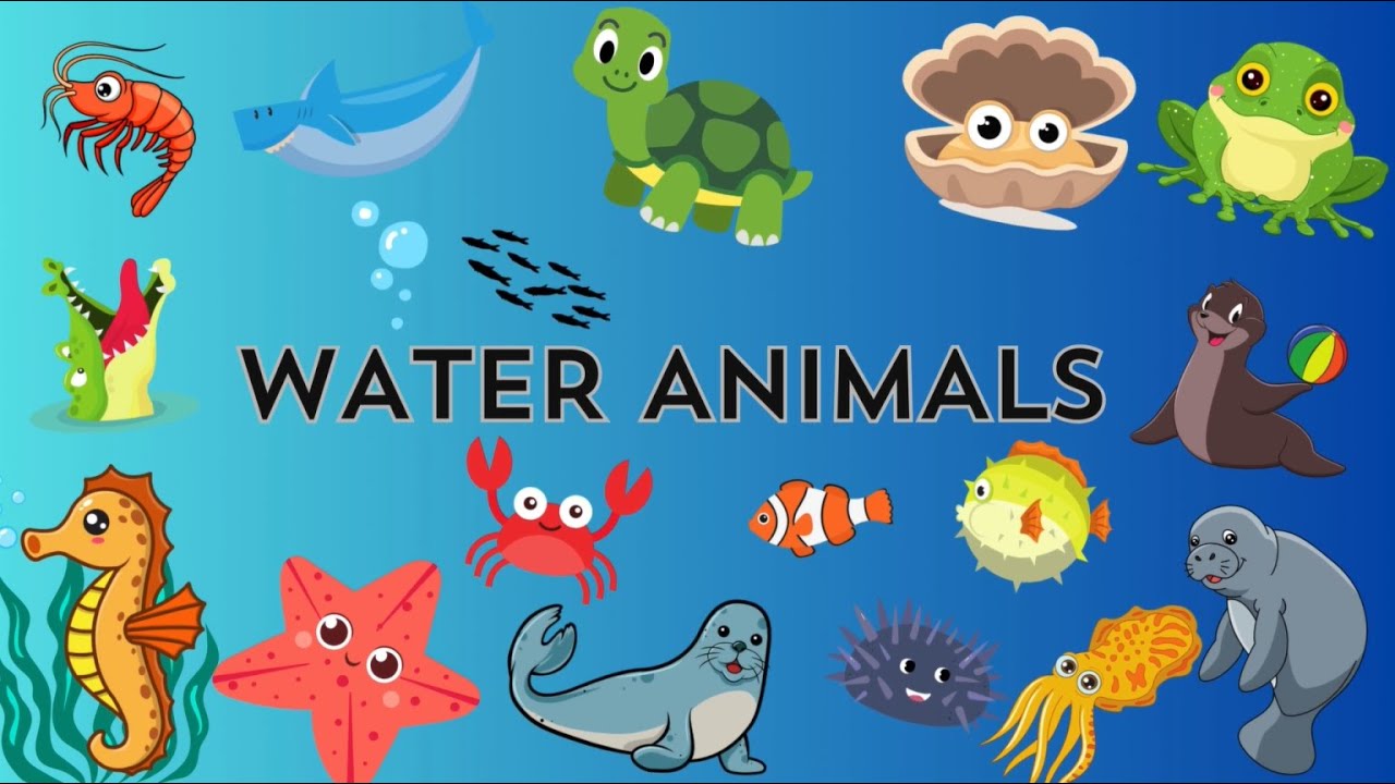 WATER ANIMALS FOR KIDS | LEARN 10 WATER ANIMALS NAME | SEA ANIMALS FOR ...