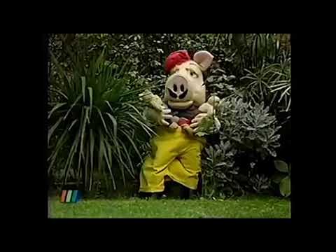 Zoolo TV  - Carita de Chancho