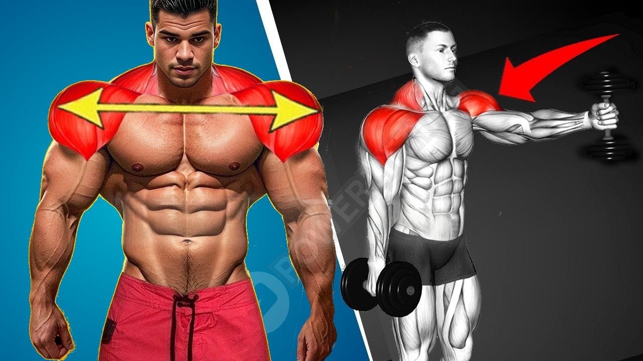 6 Effective Exercises for BIGGER SHOULDERS - Shoulder Workout at Gym ...