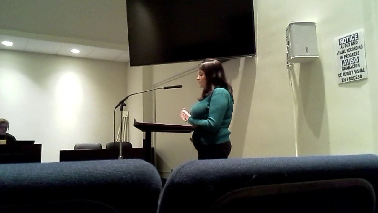 Long Branch City Council Meeting (1/8/20) Michele Mandell Irizarry ...