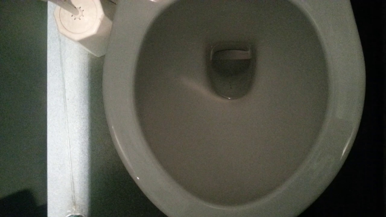 Toilet in the Library - YouTube