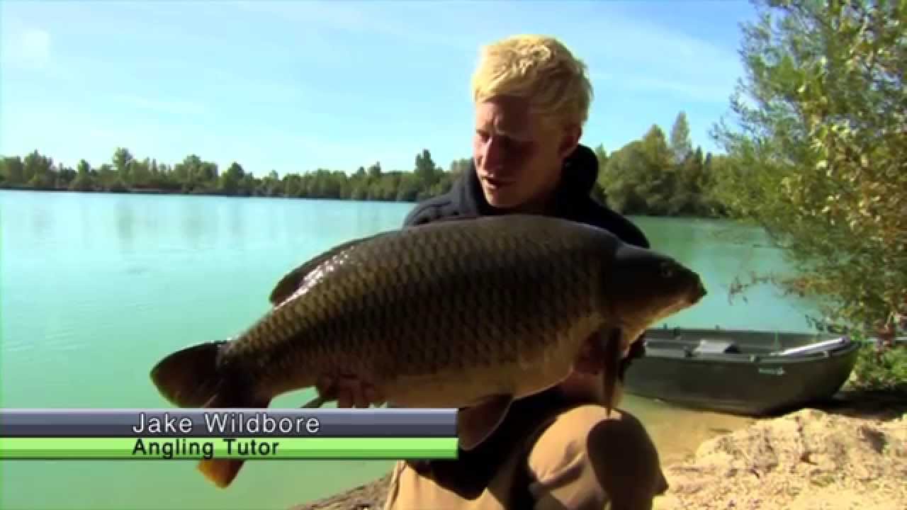 Jake Wildbore's tactics at Gigantica - YouTube