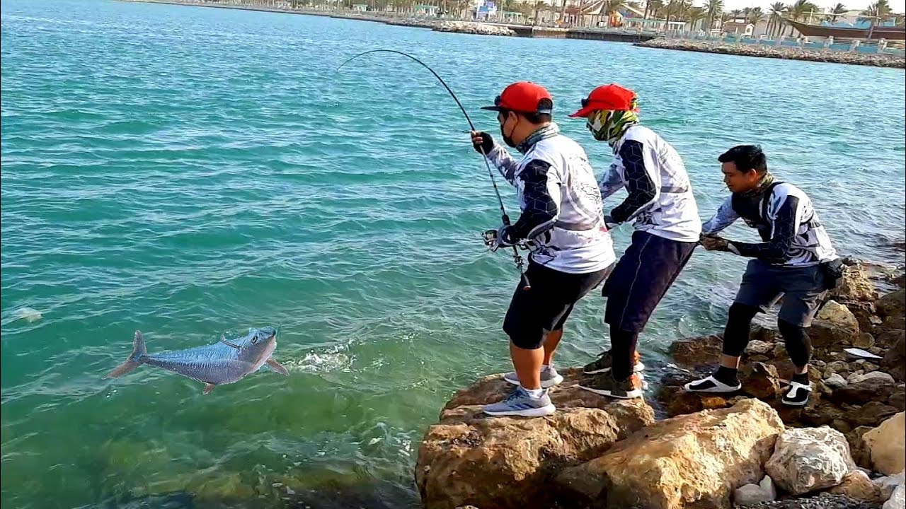Amazing Big Fish Hunting By Traditional sea Fishing - YouTube