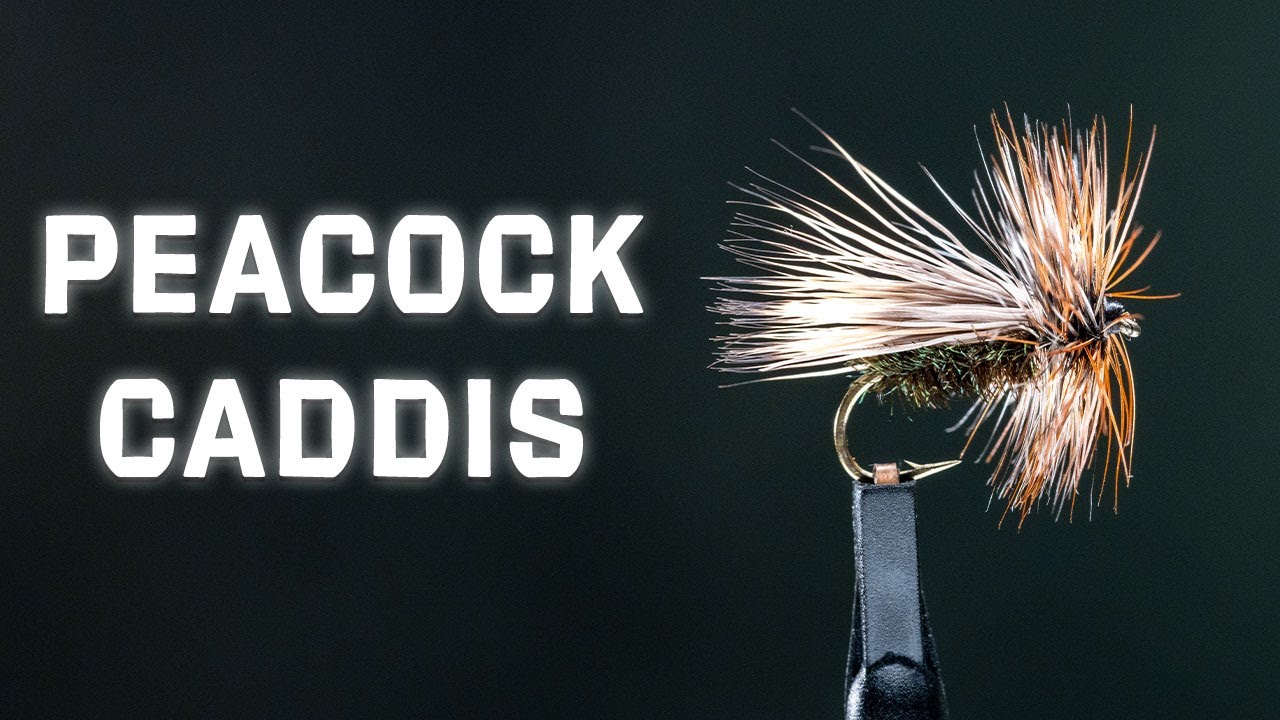 Peacock Caddis Dry Fly | A Simple Trout Fly | Fly Tying Tutorial - YouTube