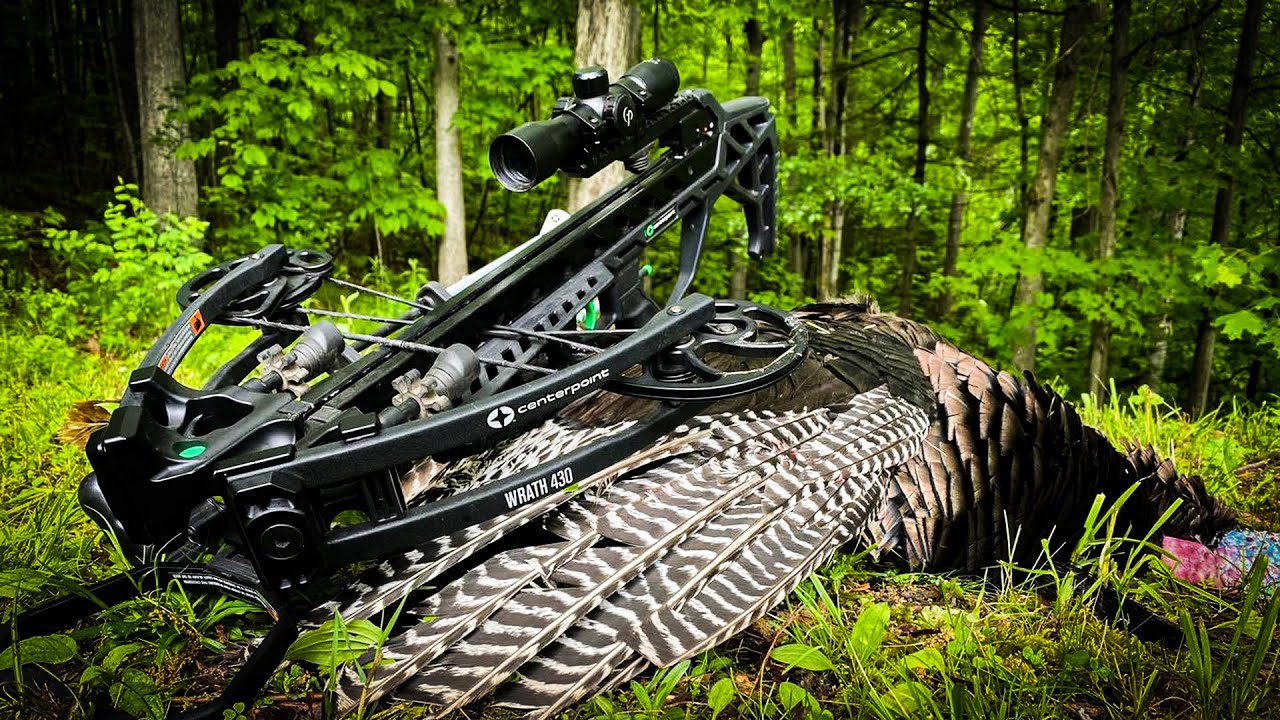CenterPoint Wrath 430 Crossbow: A Comprehensive Review - YouTube