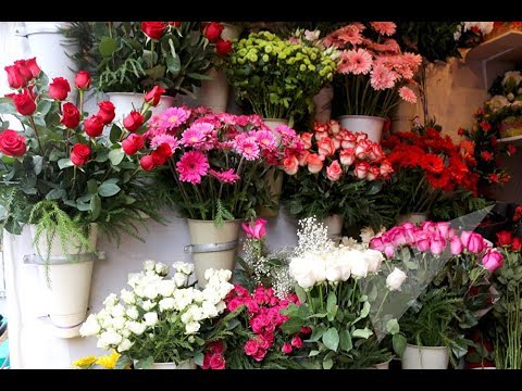 Gul salonu sumqayit 13 mkr