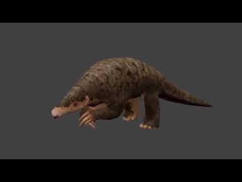 PANGOLIN The Most Poached Animal in The World - YouTube