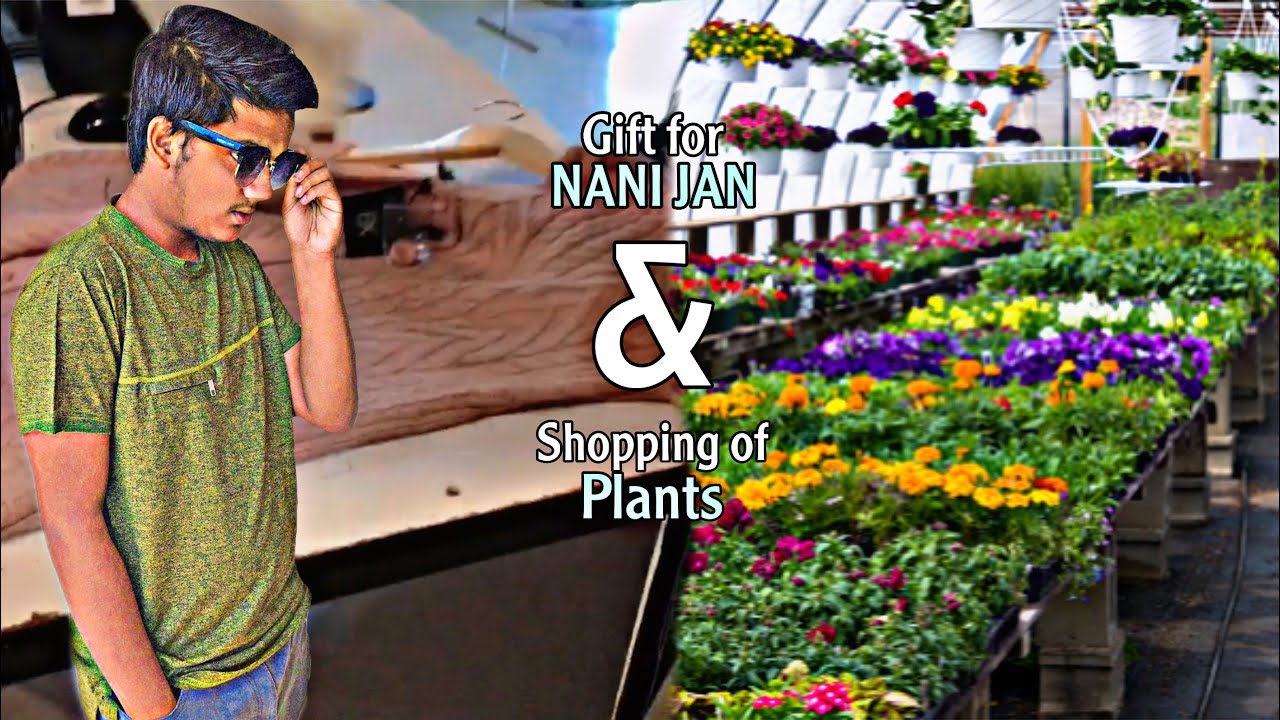 Gift For NANI JAN & Shopping Of PLANTS | Vlog #121 - YouTube