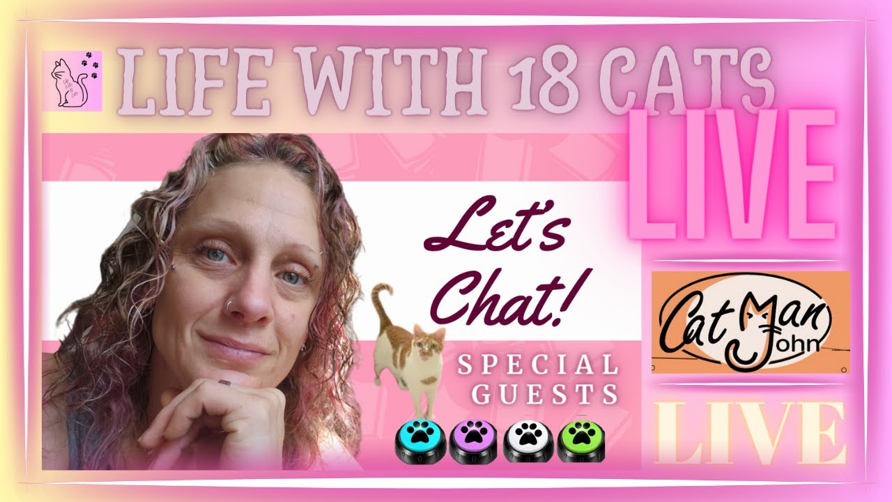 Let's Chat Live | Catmanjohn Cat Chat | Life With 18 Cats - YouTube