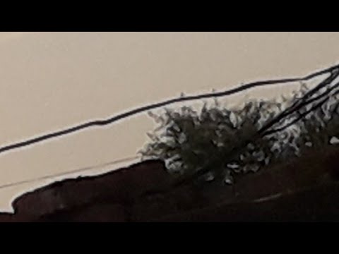 live stream live now part #282 - YouTube