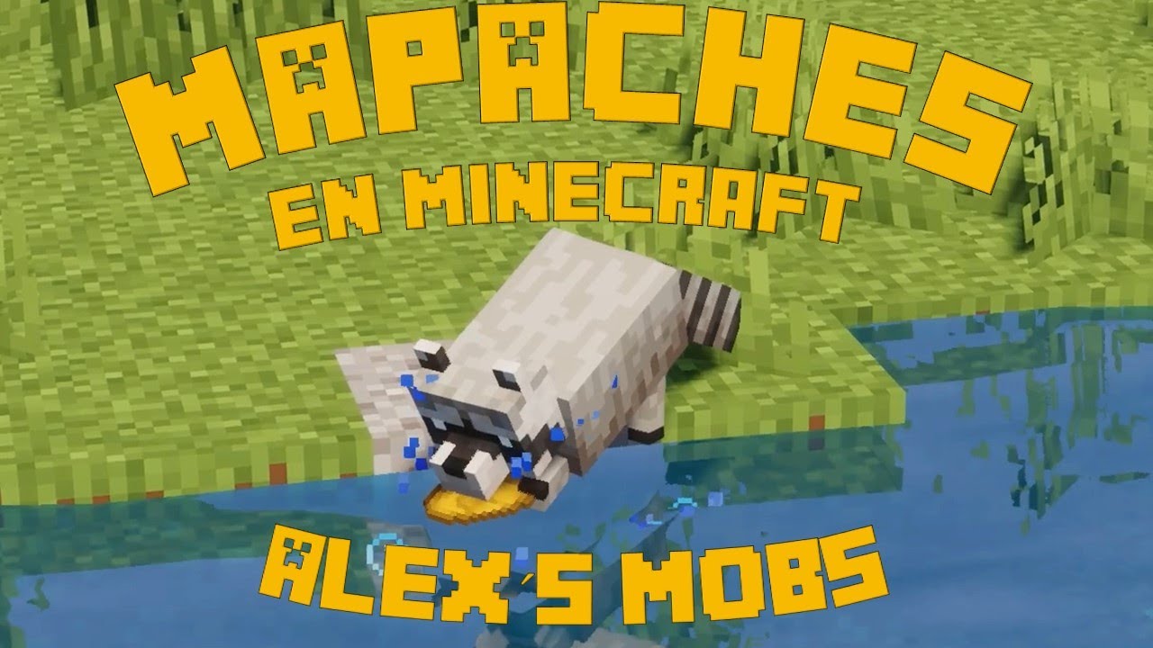 ¡Mapaches en Minecraft! - Alex´s Mob 1.16.4 - Actualización de Mod ...