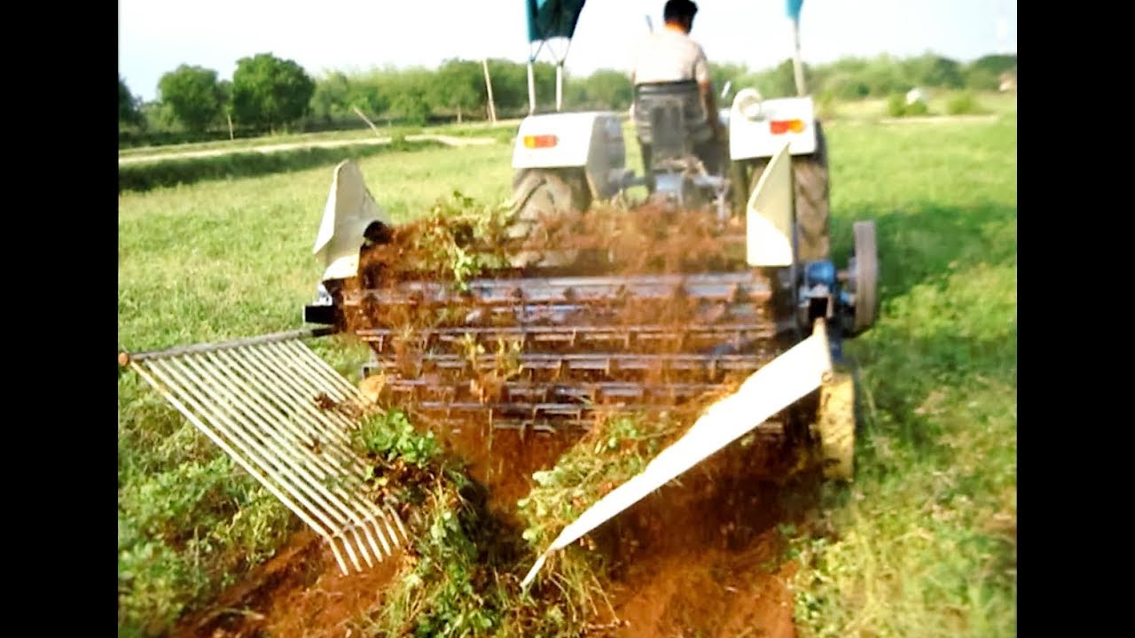 Groundnut Digger Shaker, a new technology used in India!!!!! - YouTube