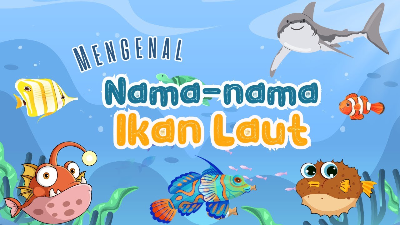 Yuk Belajar!Mengenal Ikan Laut Mudah dan Seru|Belajar Hewan Laut untuk ...