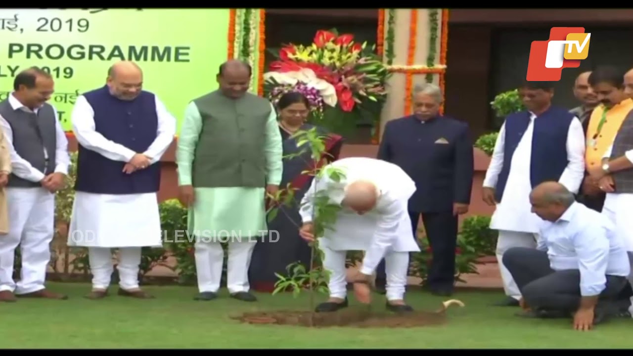 PM Narendra Modi Plants A Sapling In Parliament - YouTube