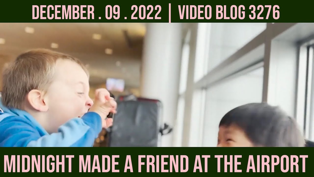 12092022: Midnight made a new friend! | Vlog 3276 - YouTube
