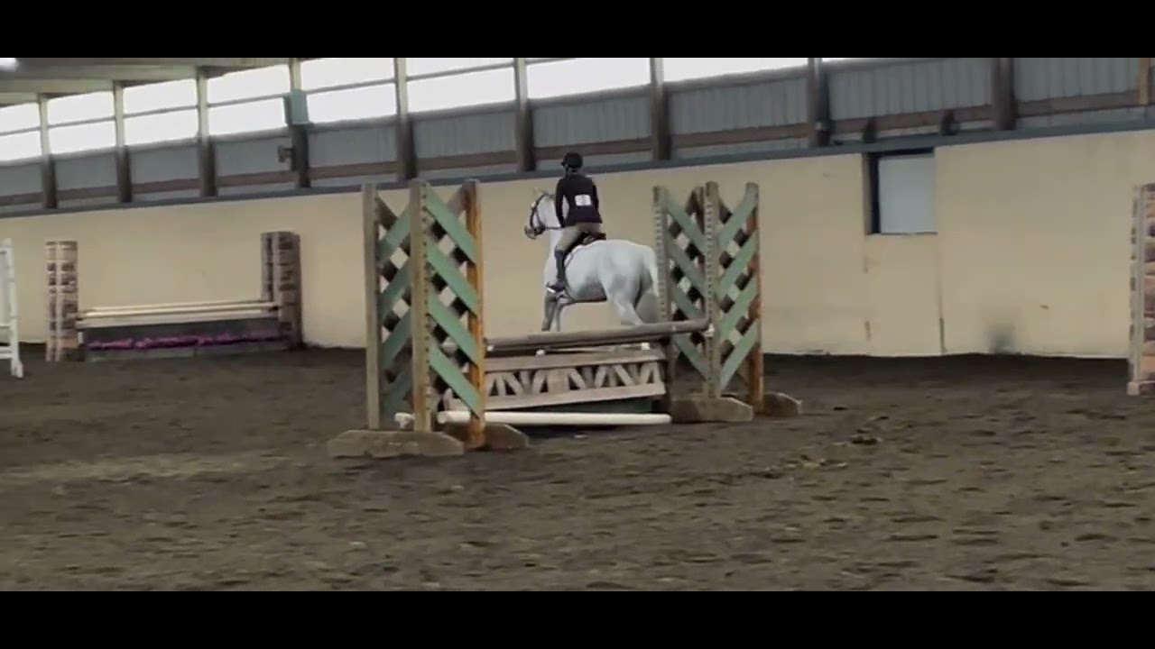SOLD! Cassiopeia- Adults - YouTube