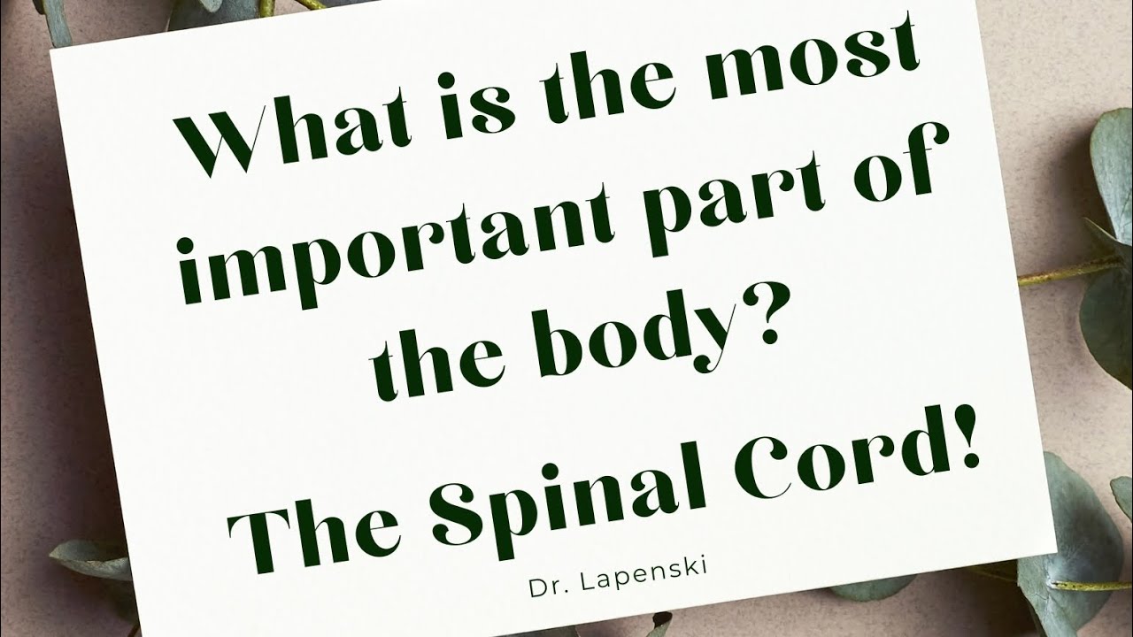 What is the most important part of your body? - YouTube