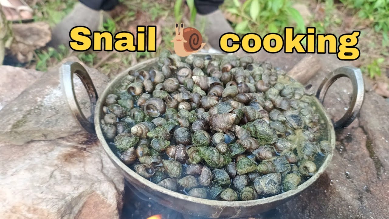 snail 🐌 cooking in jangal style|| Ghongi recipe|| - YouTube