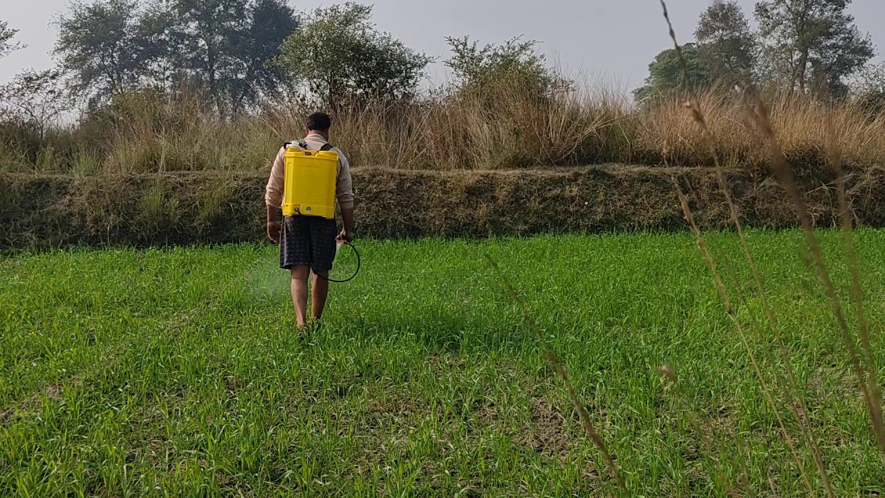 kheto me machine se kitnasak chirkaw - YouTube