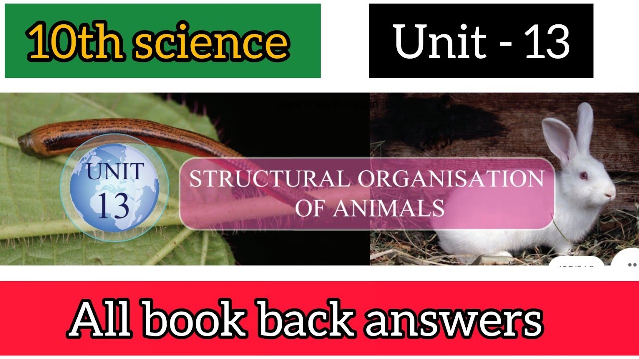 10th std science unit 13 book back answers | structural organisation of ...