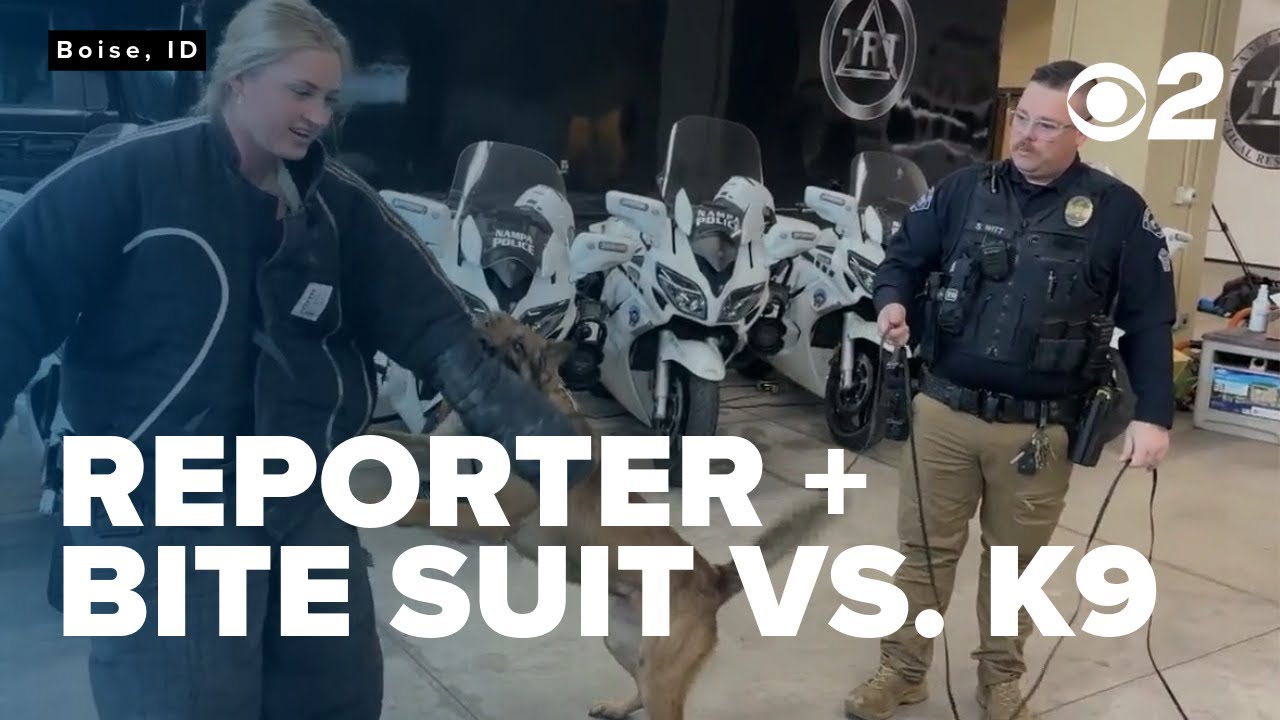 Reporter in a bite suit vs. K9 - YouTube