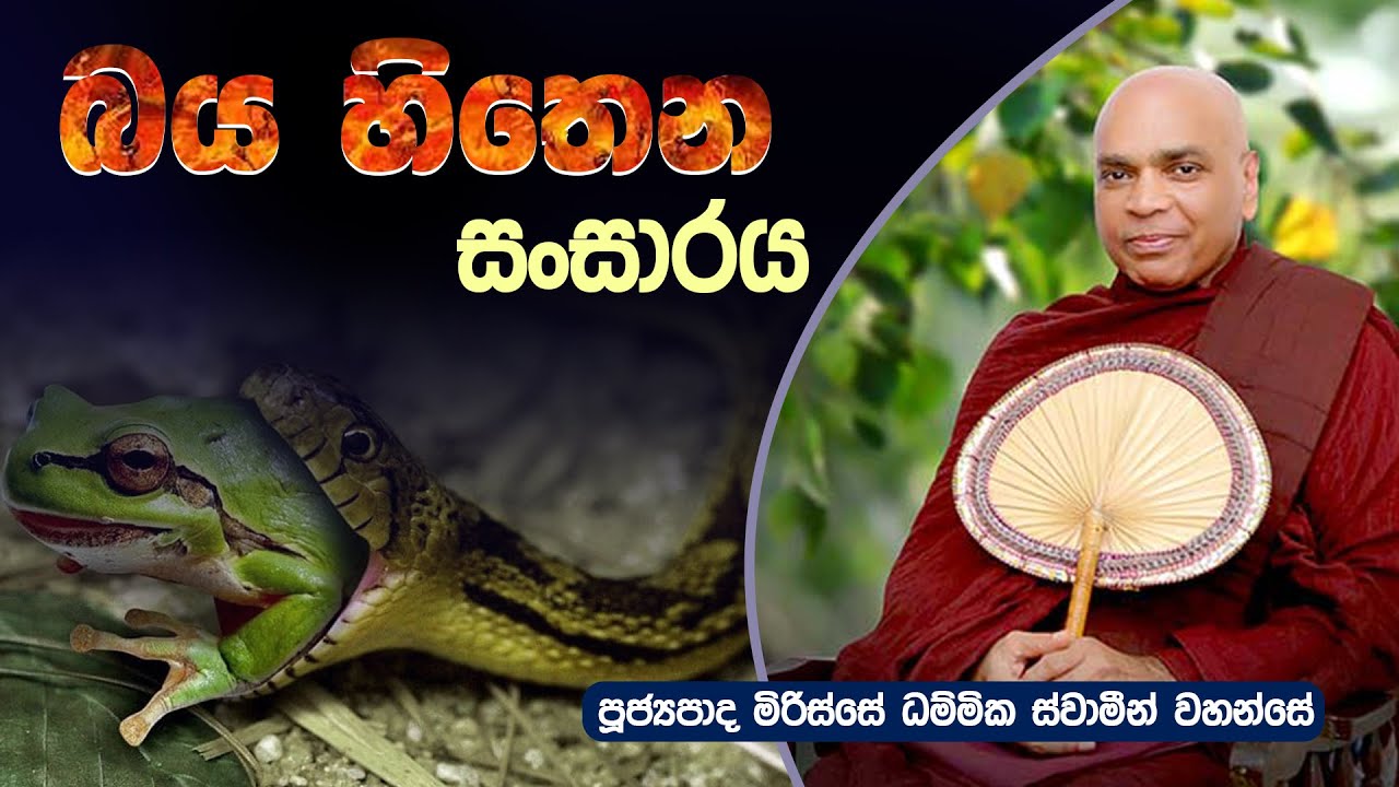 බය හිතෙන සංසාරය | Mirisse Dhammika thero | Dharma Deshana | D 0698 ...
