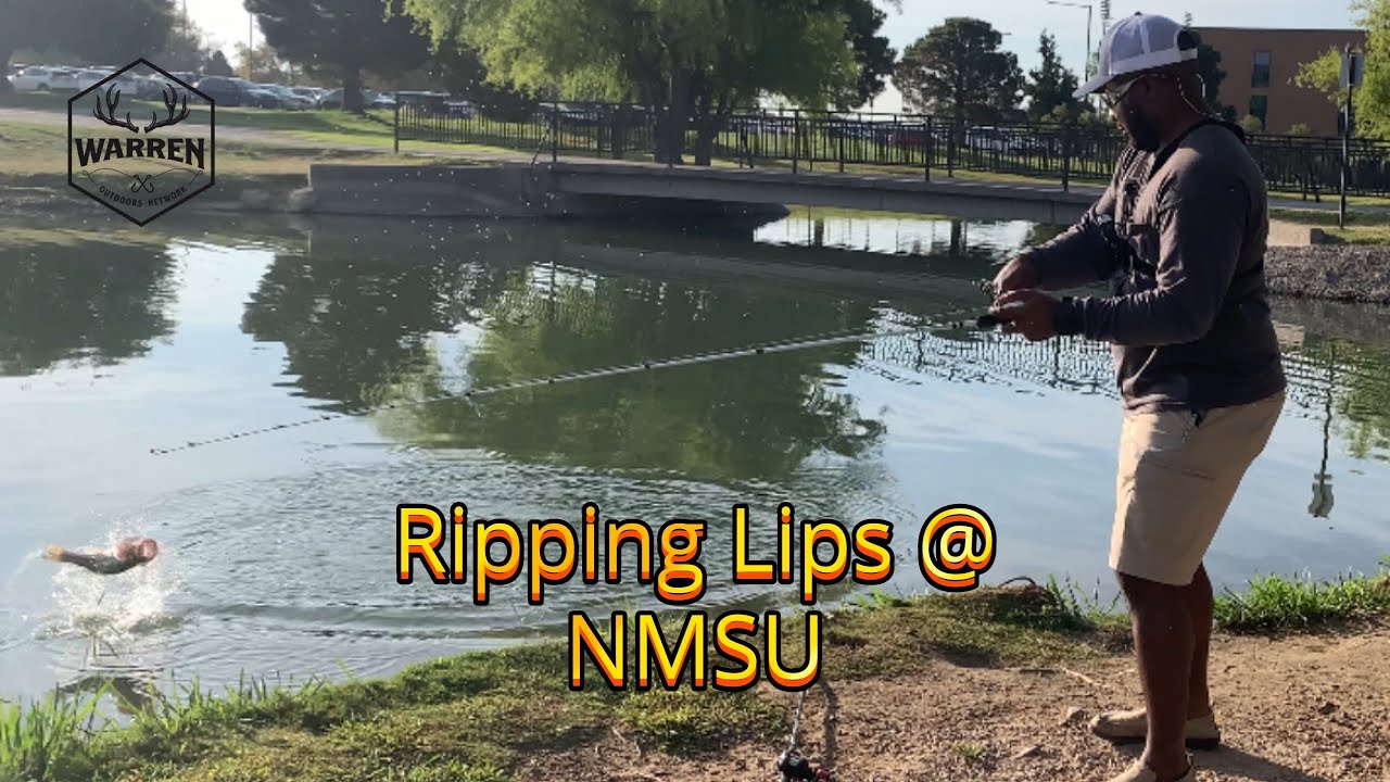 Alumni Pond Round II - YouTube