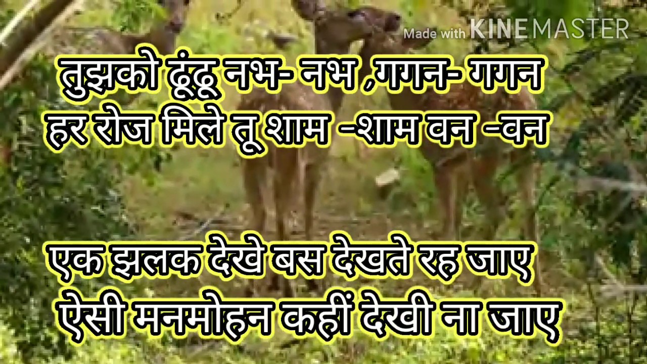 Kasturi mrig poetry..// animal for poem // bk quote // deer - YouTube