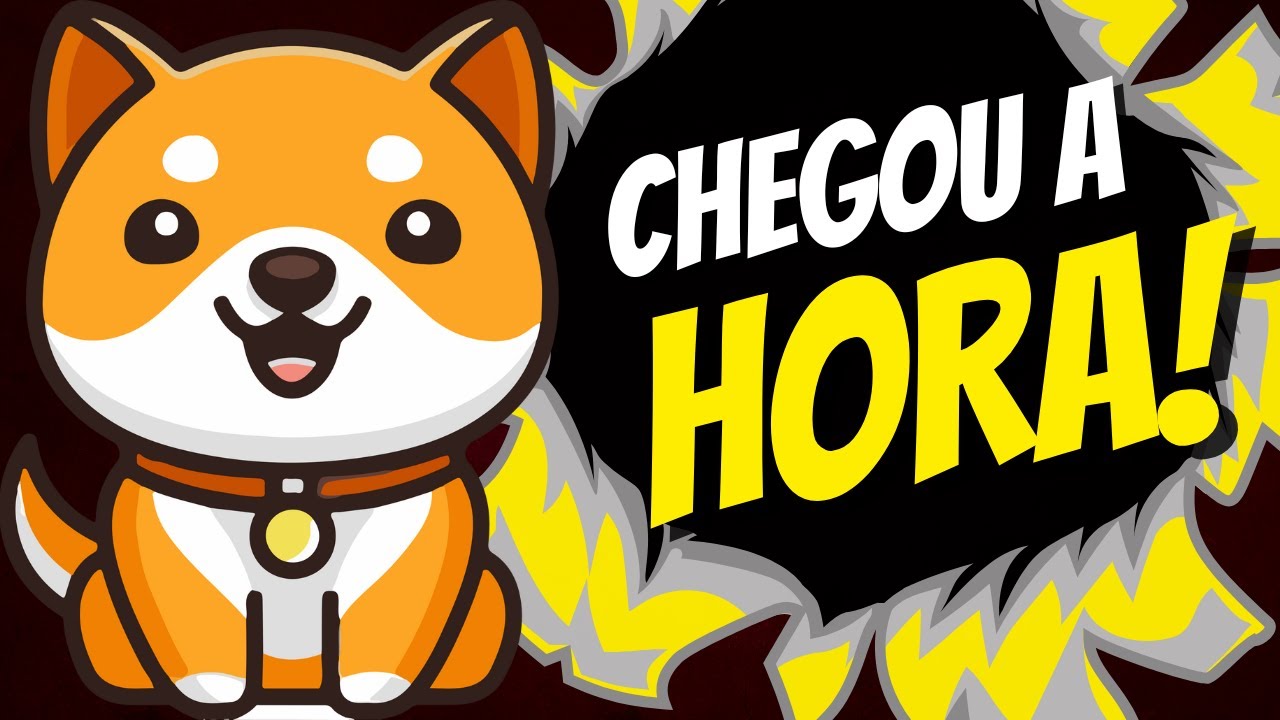 BABY DOGE CHEGOU A HORA SE PREPARE - YouTube