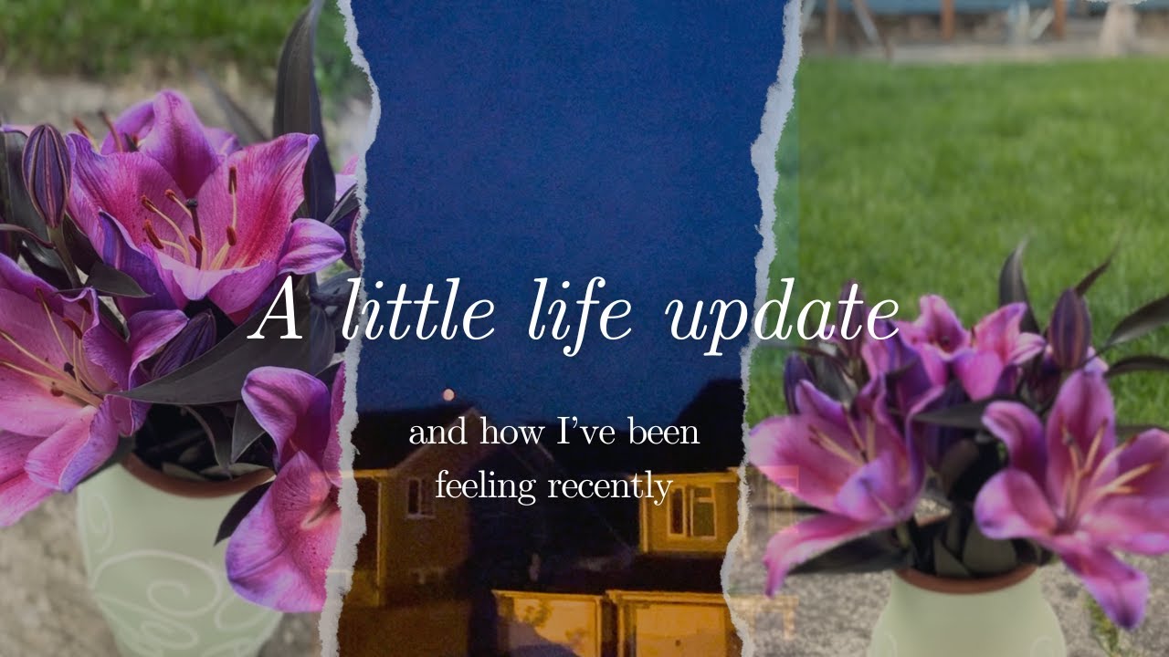 A little life update. My recent thoughts and how I’ve been feeling ...
