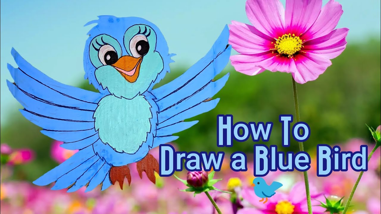 How to draw a Bird | Blue Bird cutout | liyajone - YouTube