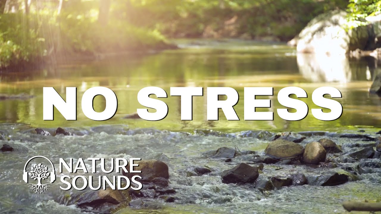 Nature Sounds Forest Sounds Bird Sounds Flute Music Water Sounds ...