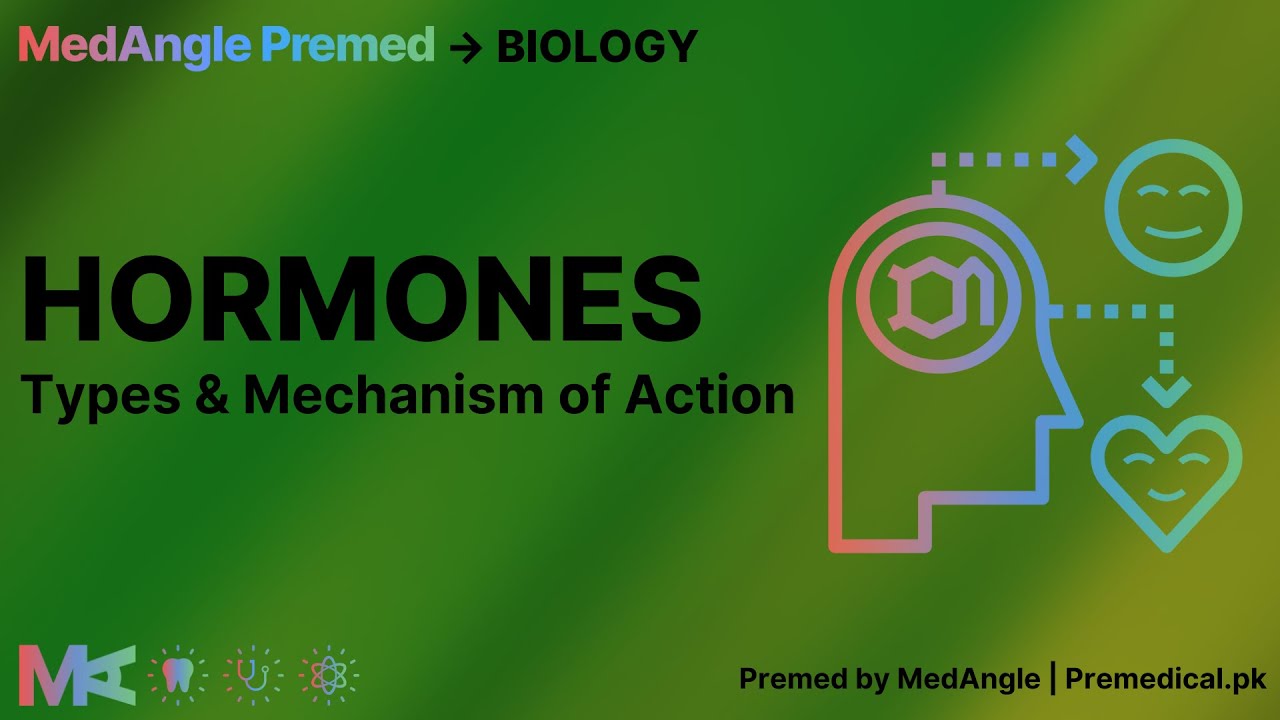 Hormones: Types & Mechanisms of Action | Premed by MedAngle - YouTube