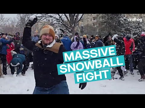 Washington's Massive Snowball Fight || ViralHog - YouTube